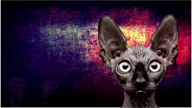 Кот Костян: ГЛУБИННАЯ ЛИБЕРАДРИЛЬНЯ (2022.01.12)