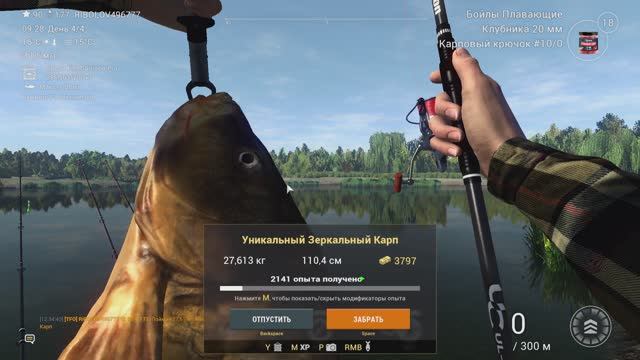 Fishing Planet. Випинг Виллоу, Англия. Карпы, Амур, Сазан. Солнечная погода