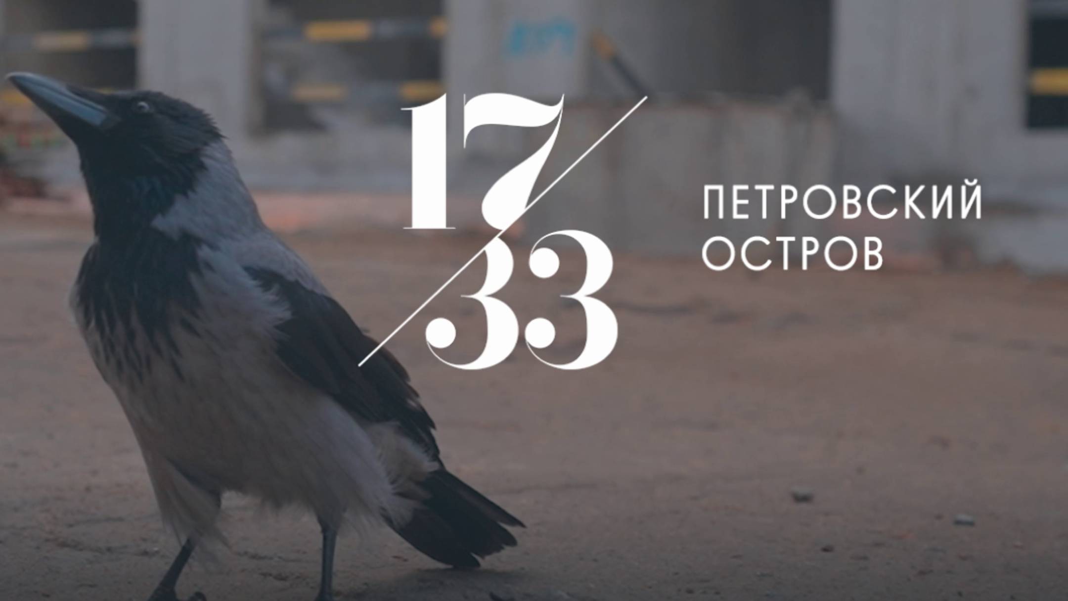 17/33 Петровский остров". Динамика строительства. Октябрь 2024