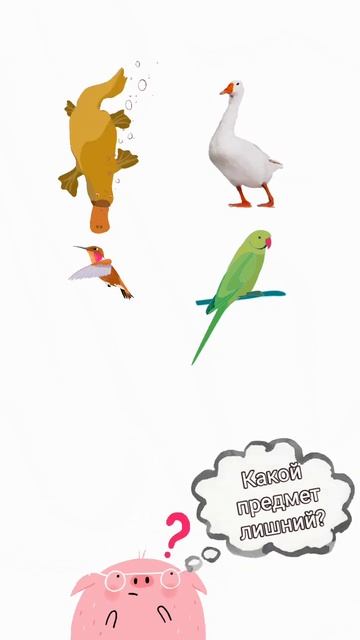 19. Напиши свой вариант ответа #learning #gaming