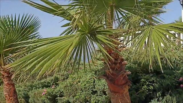 Турция. Сиде. Alba Resort Hotel 5. Дорога к морю