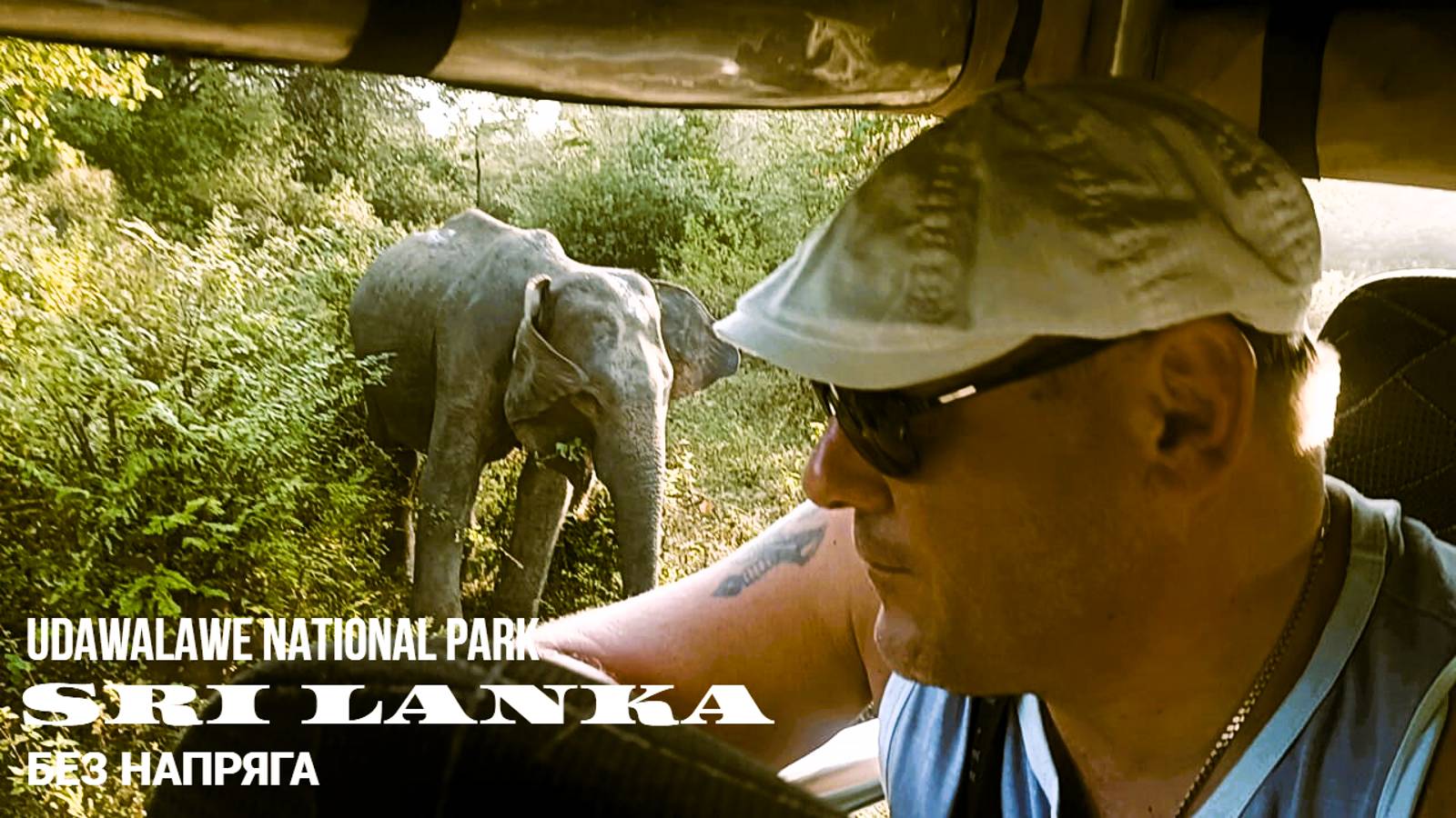 CHILLOUT TRAVEL UDAWALAWE NATIONAL PARK SRI LANKA SAFARI ~БЕЗ НАПРЯГА~