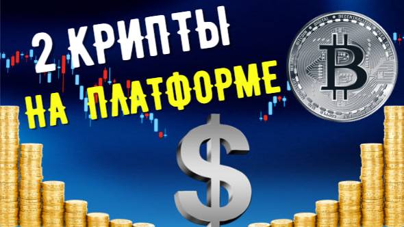 Почему платформа Лайм работает с двумя криптовалютами?