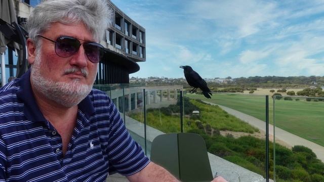 Кенгуру и модели моейодежды