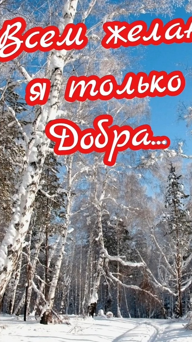 ❄️ С добрым зимним утром!