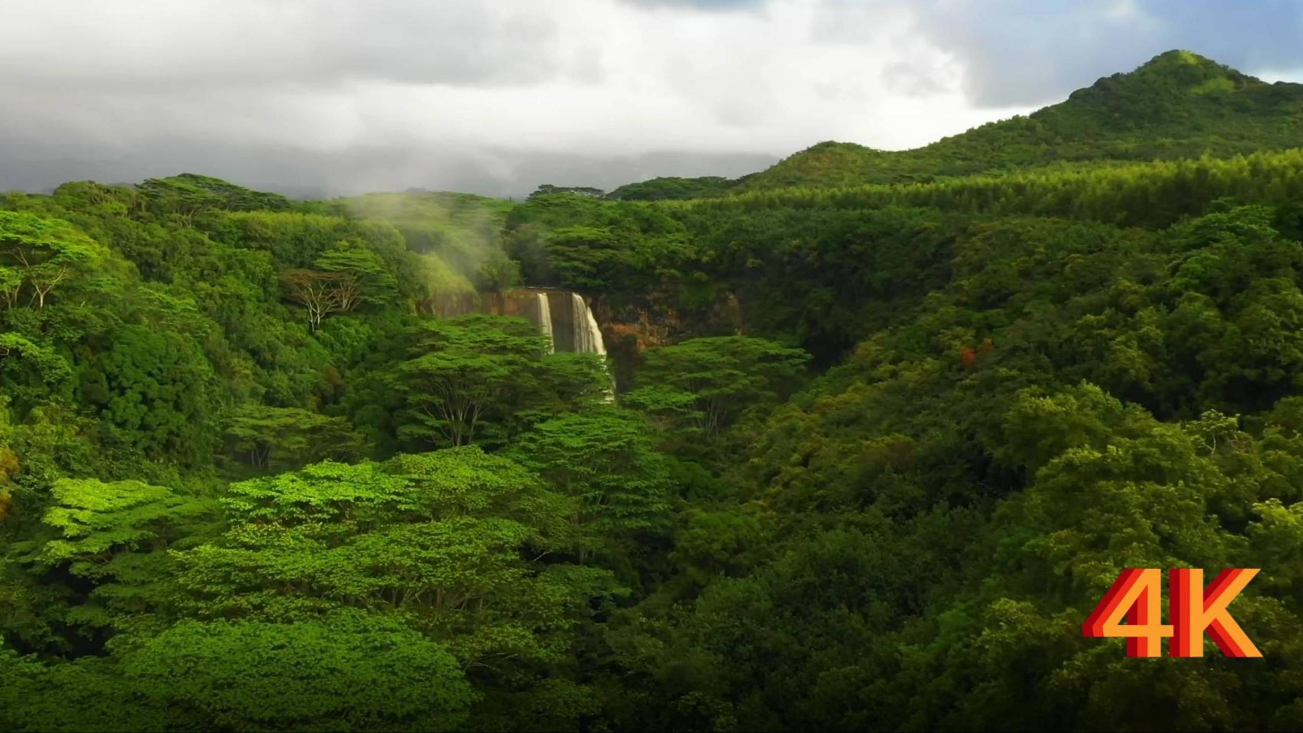 Природа 4К / Планета 4K / #медитация