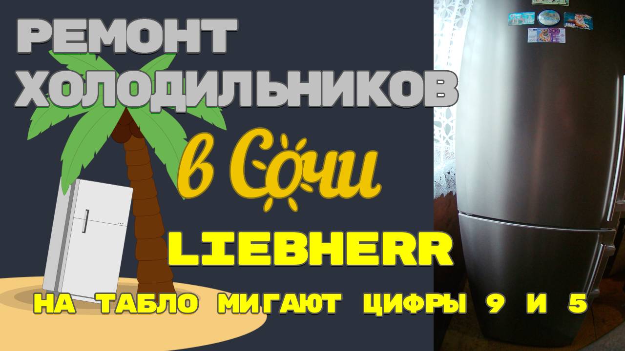 Ремонт холодильник Liebherr CUNESF 3923 периодически пищит.mp4