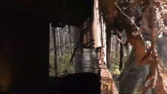 чистим дорогу на путике.