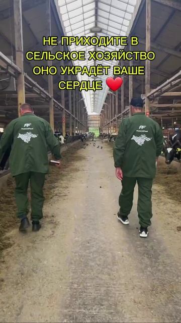 Сельское хозяйство — это тоже любовь! ❤️