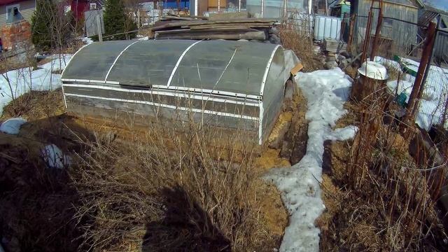 26-29 04 2020г на даче.Первоцветы.Лиатрис.