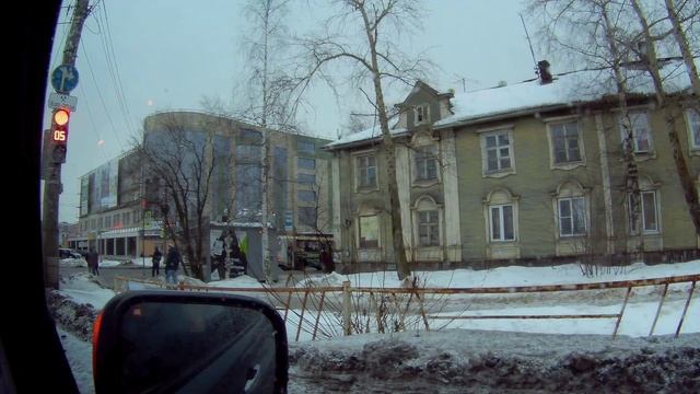 В Архангельск .Кормлю котят на даче.