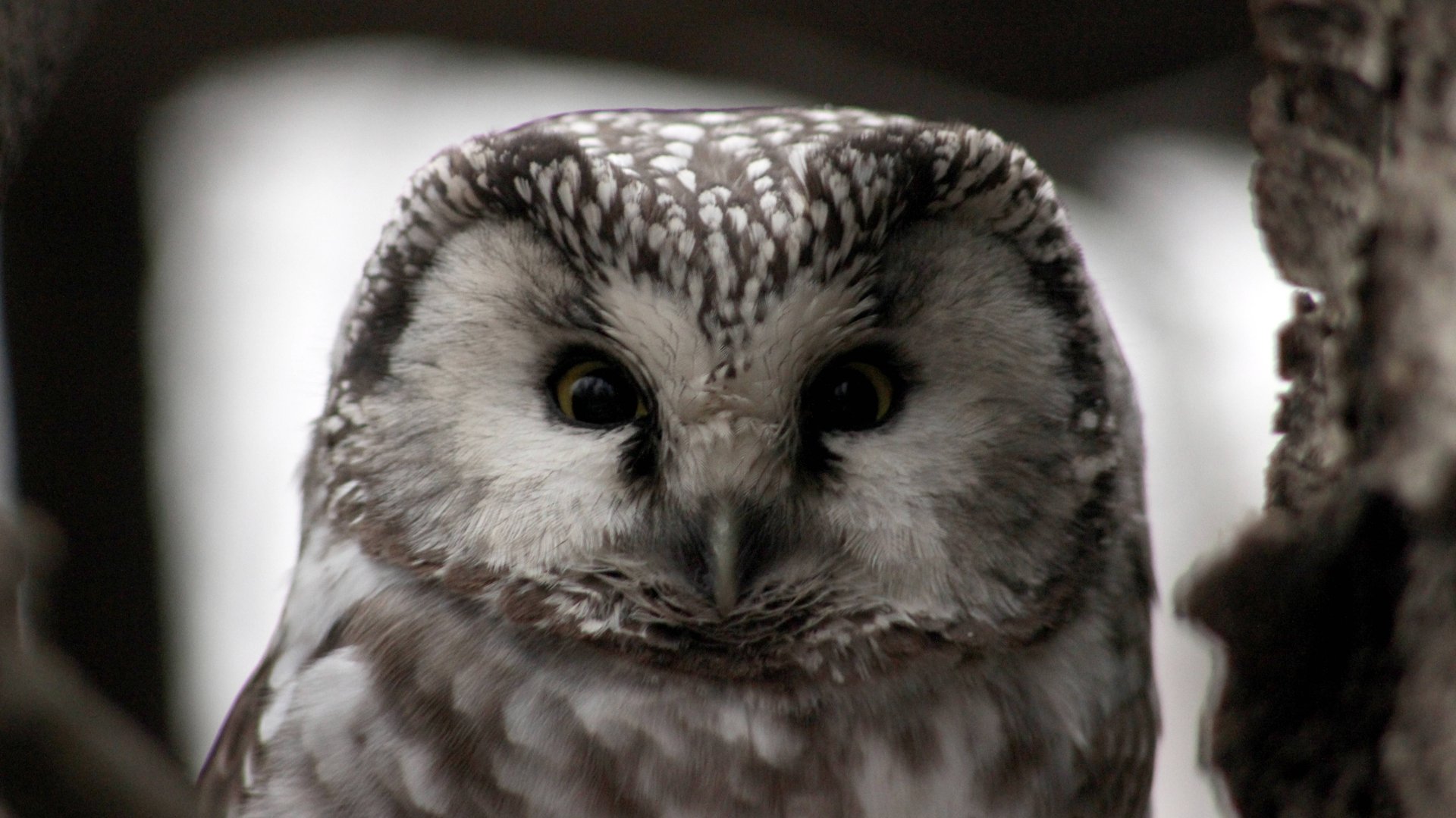 12.02.2025, А.В. Шариков, Методы учета совообразных, Часть-4