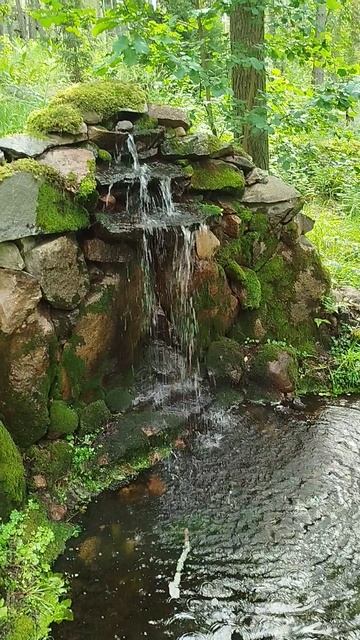 Фонтан в лесу. Карелия, июль 2024