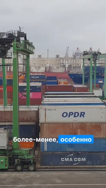 Как выбрать рынок для развития бизнеса #outved #рынок #бизнес #экспорт