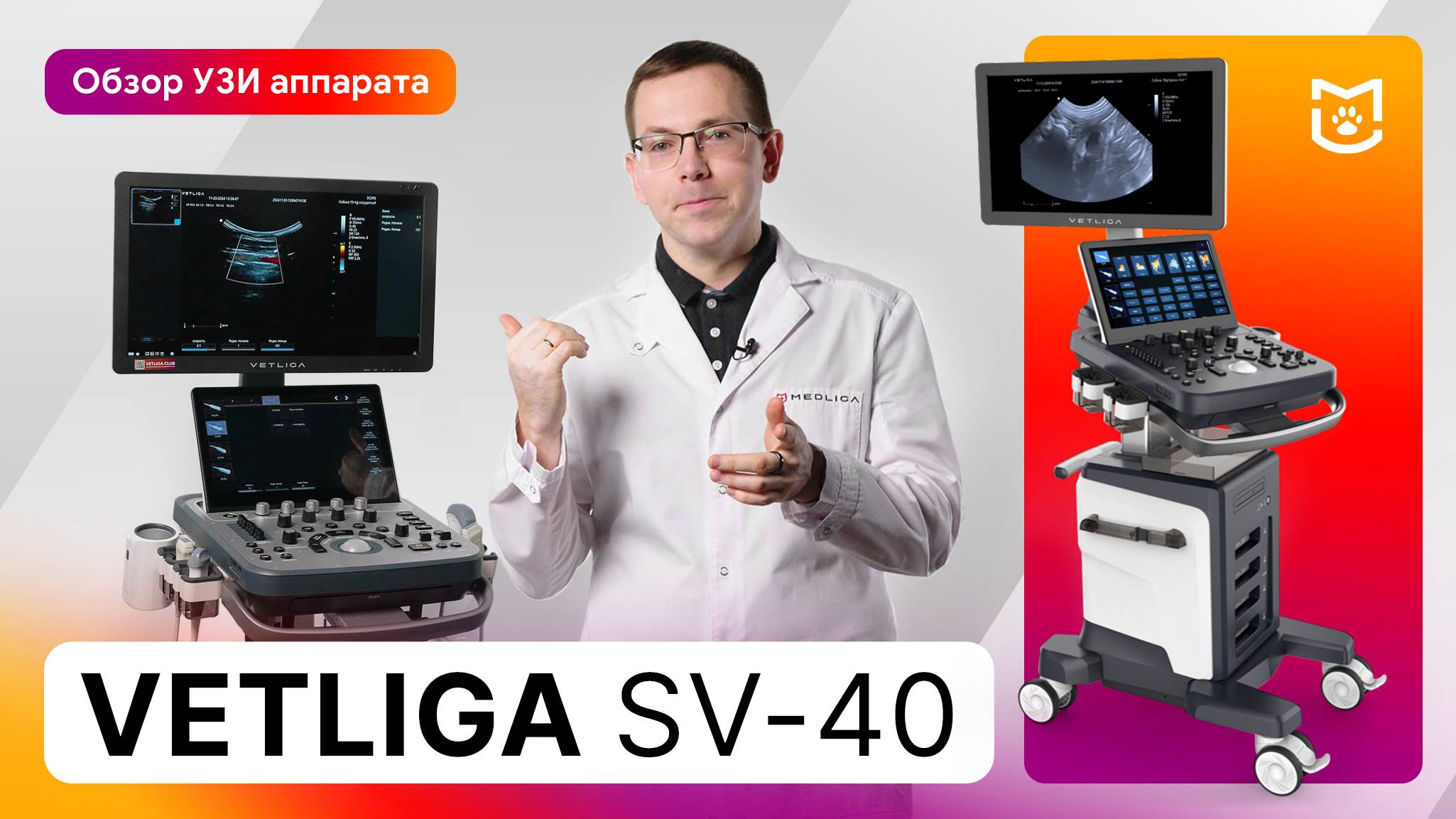 Обзор ветеринарного УЗ аппарата VETLIGA SV-40