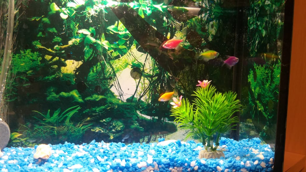 гонка в Rase Master