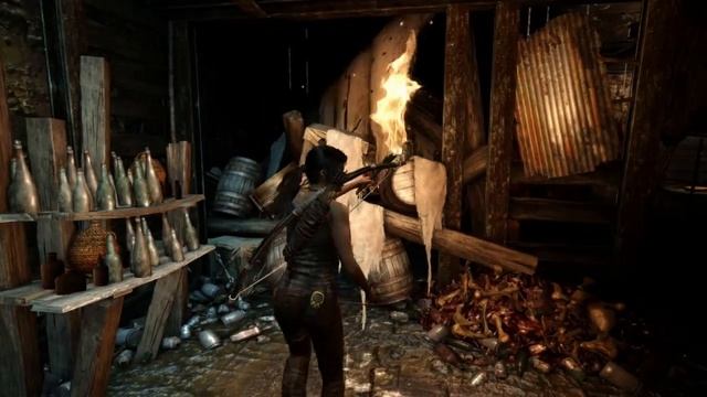Прохождение  Tomb Raider 2013 #1
