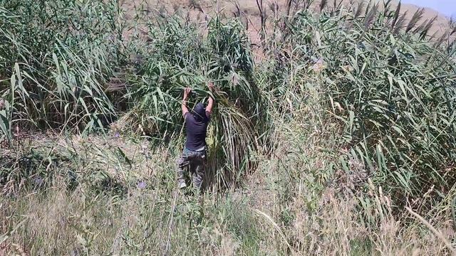 Выживание в одиночку (БЕЗ ПИЩИ, БЕЗ ВОДЫ) Поймать и приготовить - Летний кемпинг, убежище.
