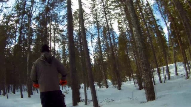 дача и поездка на озеро Смердье