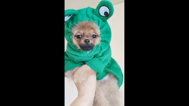 Милашки с Маркетплейса 13 / Cuties from the Marketplace 13