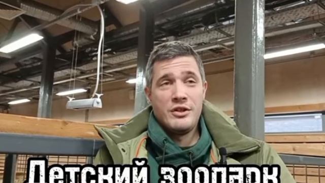 Детский зоопарк.