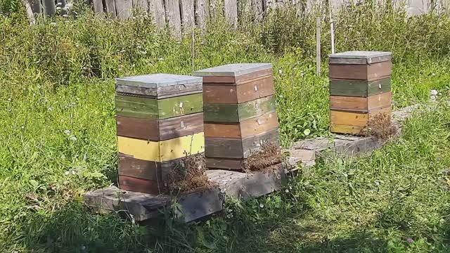 Сезон заканчивается...