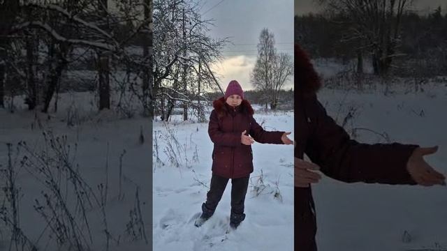 Контейнерная площадка в деревне Детково