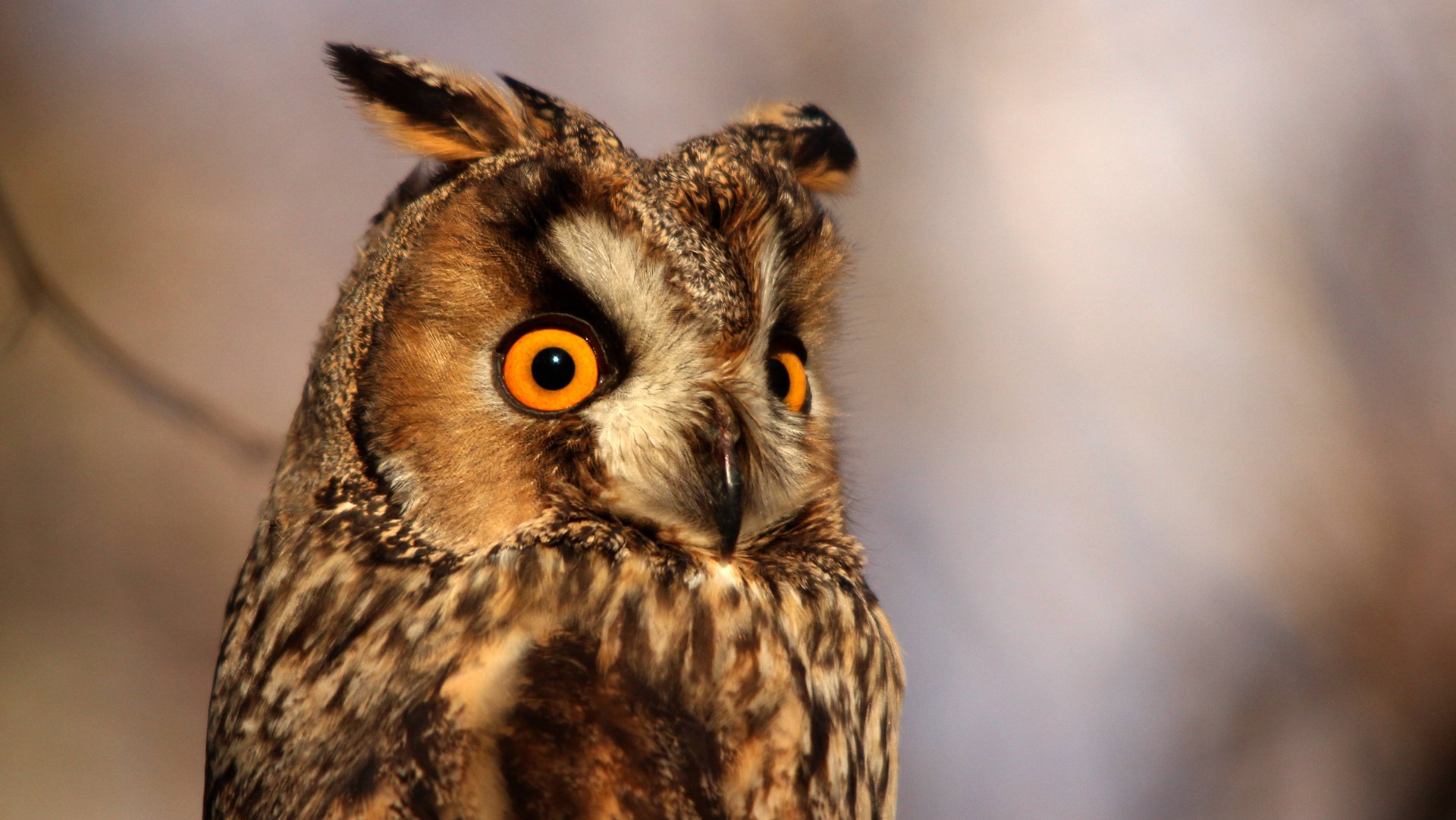 12.02.2025, А.В. Шариков, Методы учета совообразных, Часть-3