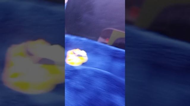 ТАБА ЛАПКИ EXE "5 часть "финал"