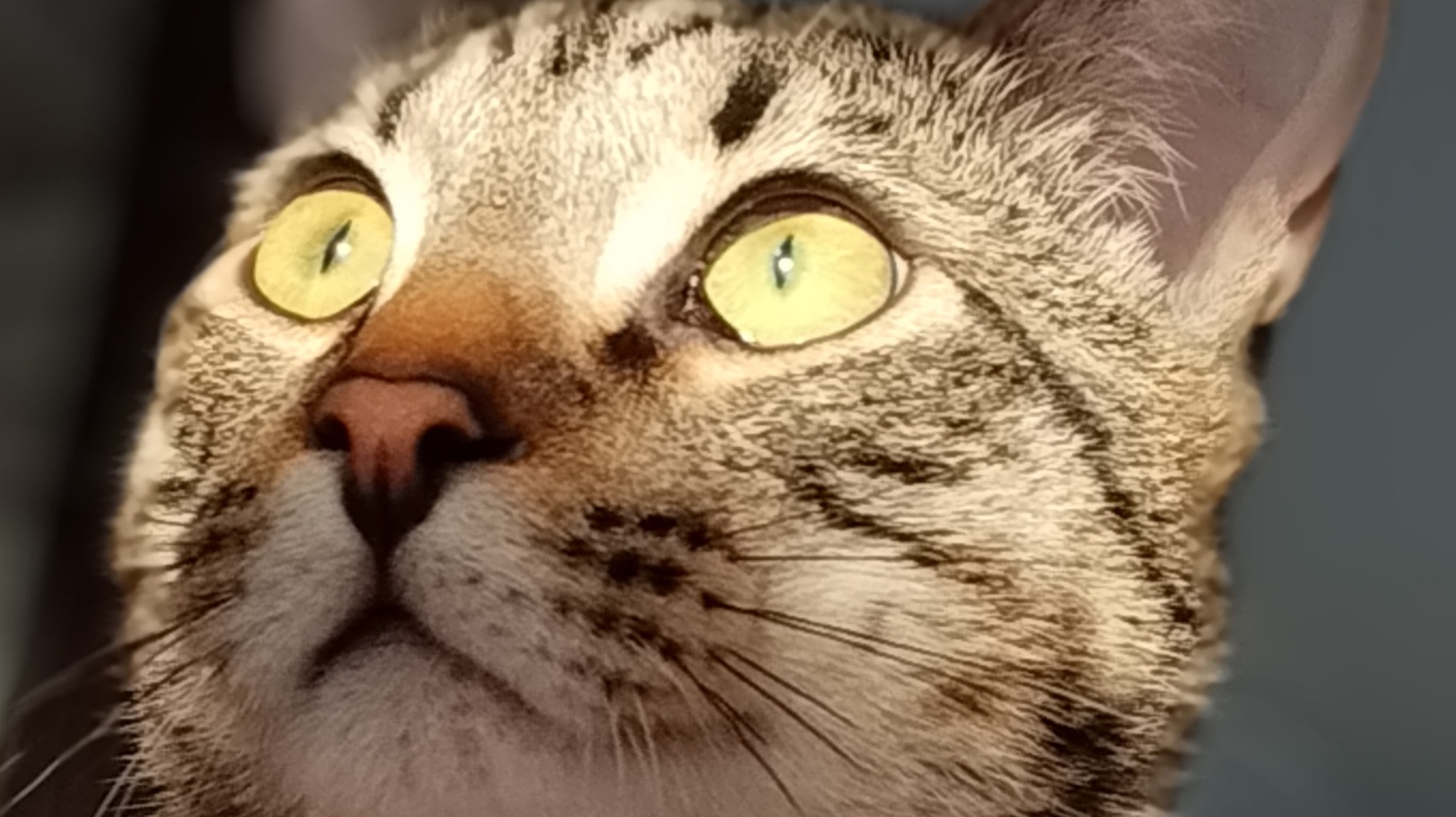 Мой Марс❤ так любит пить водичку)