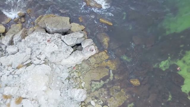 Черноморское. Лето 2017