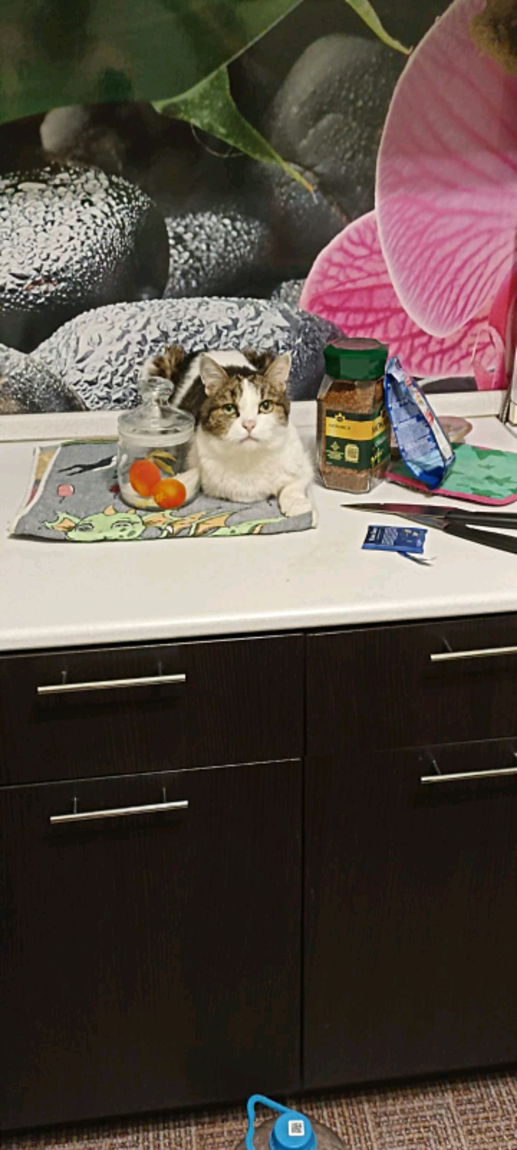 про майнкрафт🌽 2025 г.