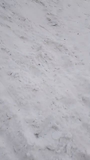 Неудачный день