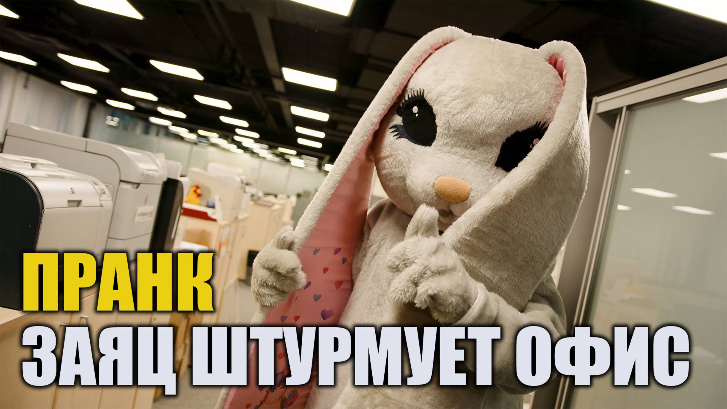 Пранк I Заяц штурмует офис Связного