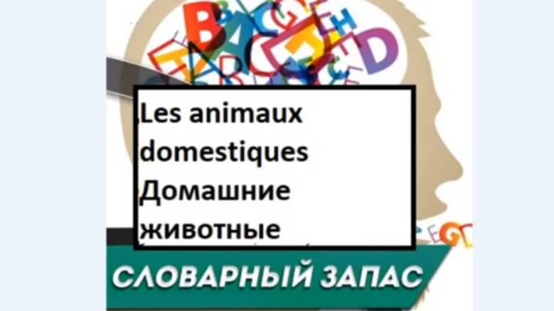 Les animaux domestiques - Домашние животные - Словарный запас на французском