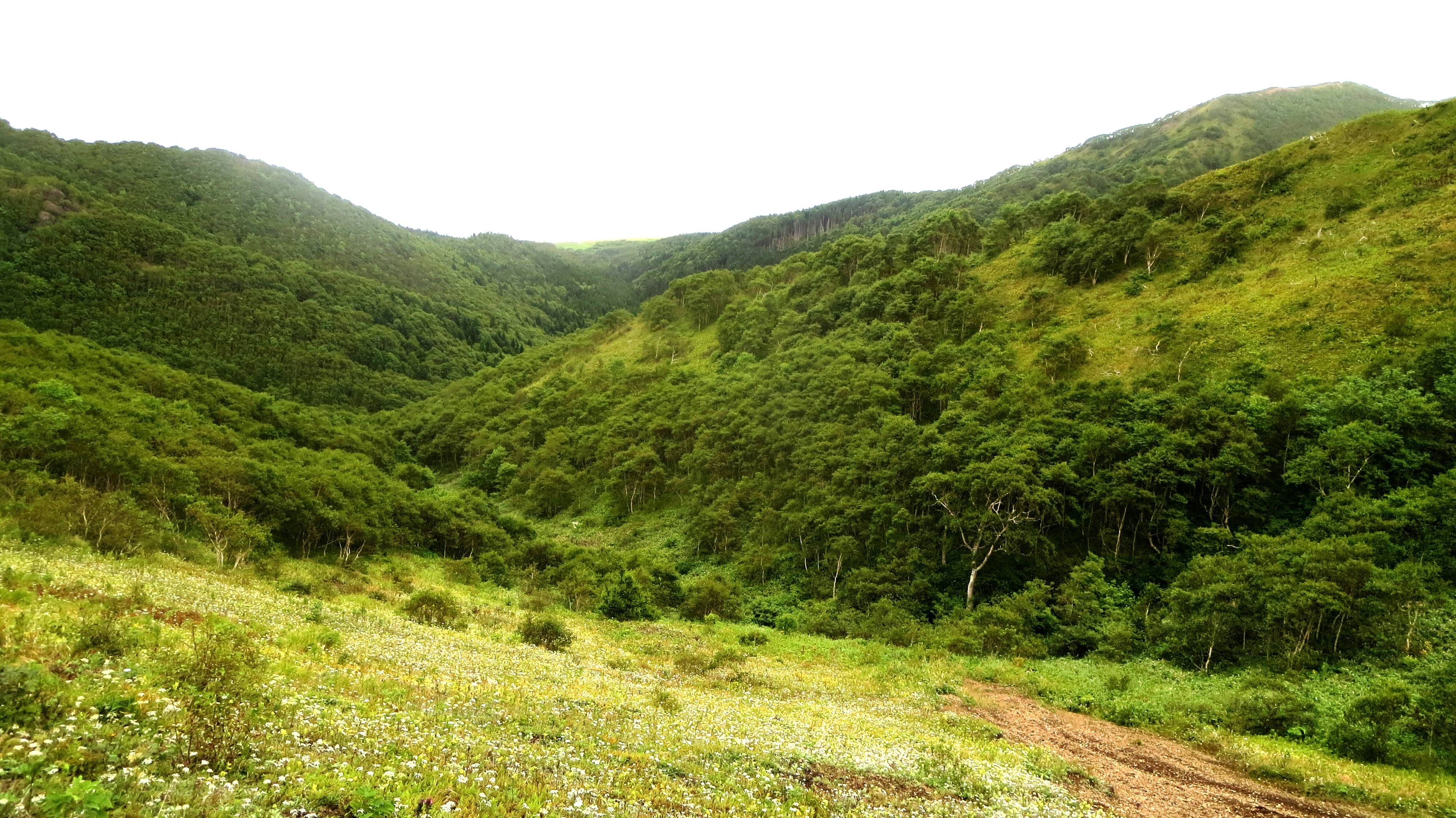 Далекий Сахалин. Какой он? Ч.5. Через хребет Жданко к бухте Бурунная.