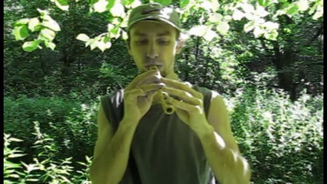 Вистл Вишневый тональность Eb в лесу | Whistle Cherry tone Eb in nature