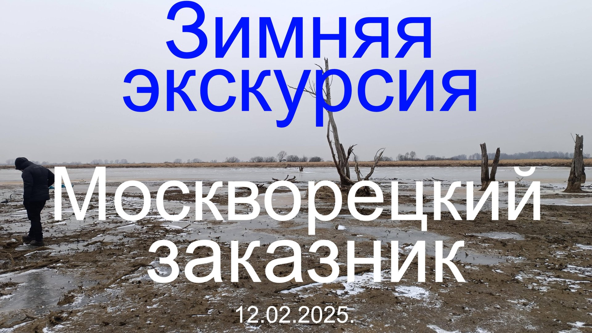 Зимняя экскурсия. Москворецкий пойменный заказник. 12.02.2025. Конобеево.