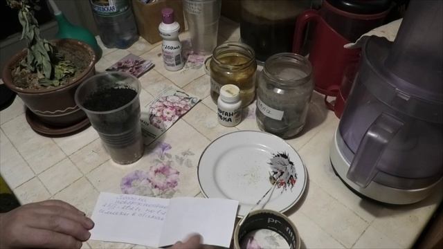 25 01 2021г  Эустома выращивание и уход.