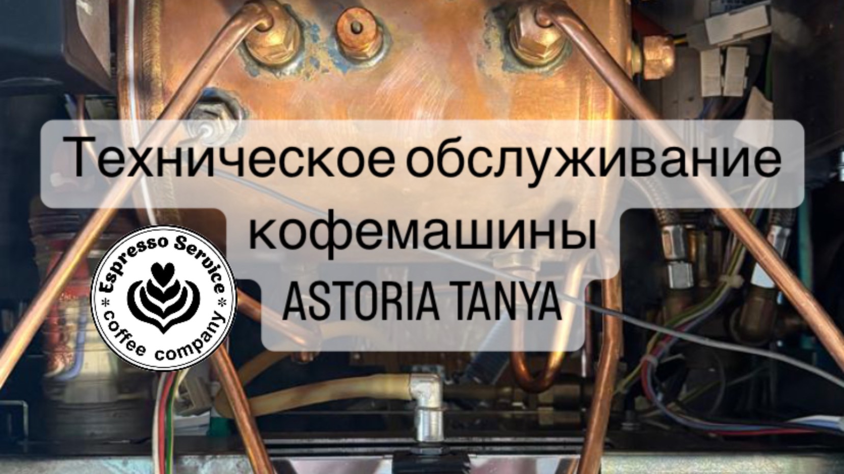 ТО кофемашины Astoria
