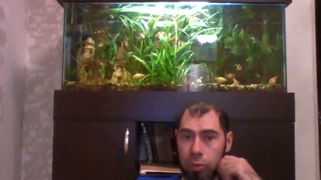 13 октября 2018