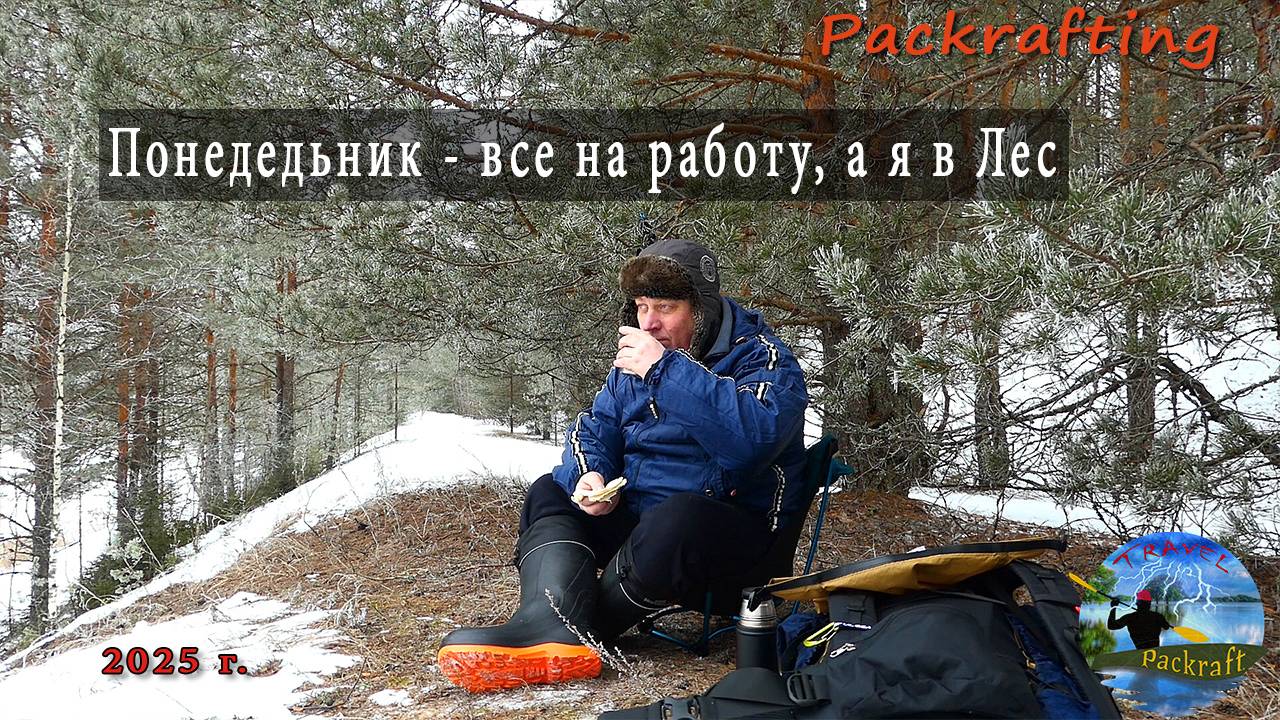 Будний день, а я ломанулся в лес (февраль 2025г.)