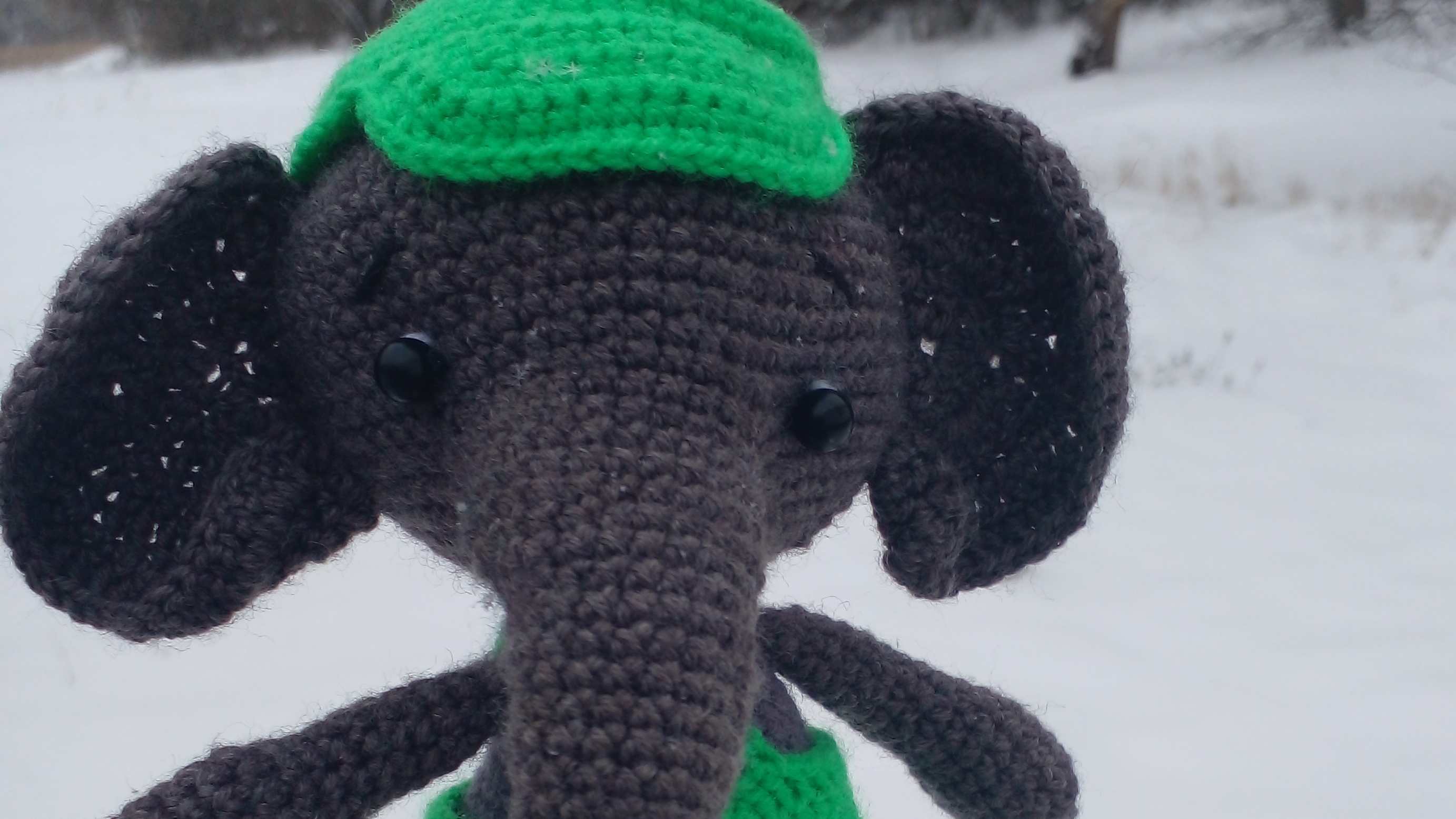 Слоняша Лотти по МК. 15 февраля 2025г