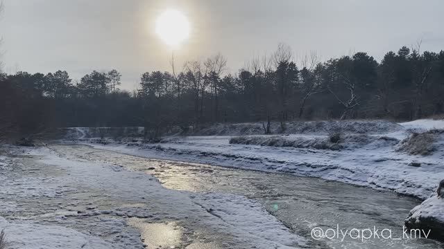Заметки кавказского натуралиста 5.02.25 Ессентуки