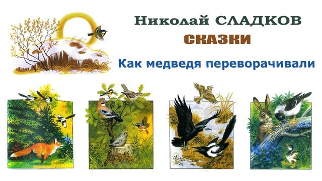 Сказка "Как медведя переворачивали" (автор Николай Сладков) - Слушать