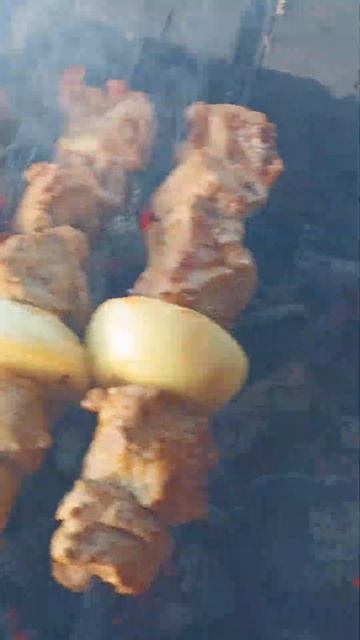 Запах не передаётся через видео #шашлык #dronpdl