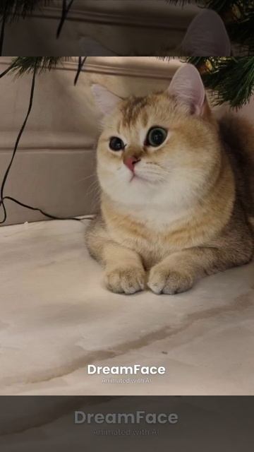 Коржик поëт песню Round and round (uiiaiouiiiai)