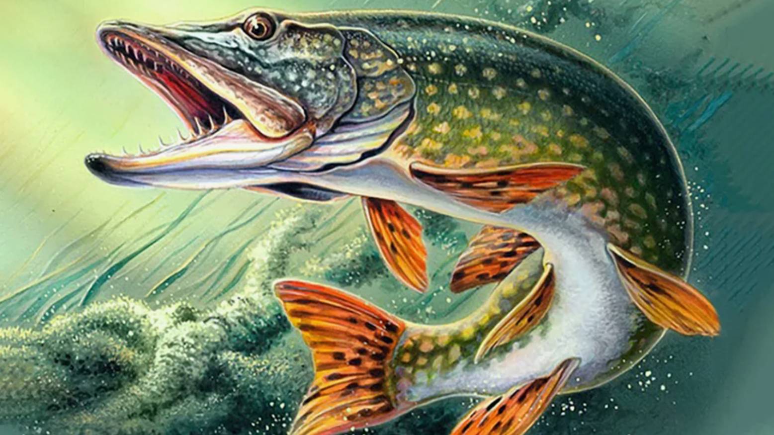 Лохотрон на  Кворке.
#фриланс #Кворк #обман #заказчики