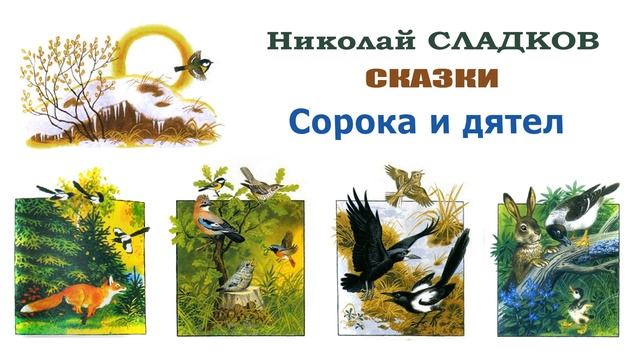 Сказка "Сорока и дятел" (автор Николай Сладков) - Слушать
