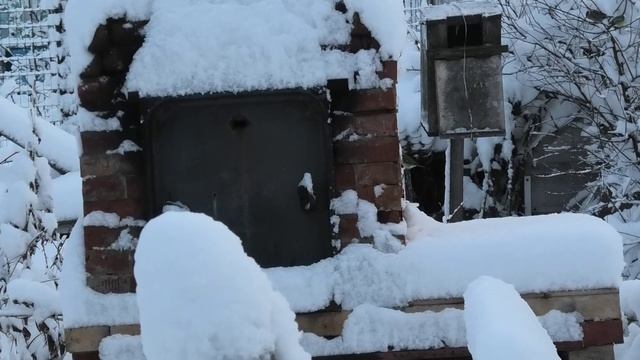 20-25 10 2021г печальная осень